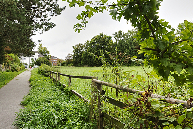 Hasselholzer Weg Aachen